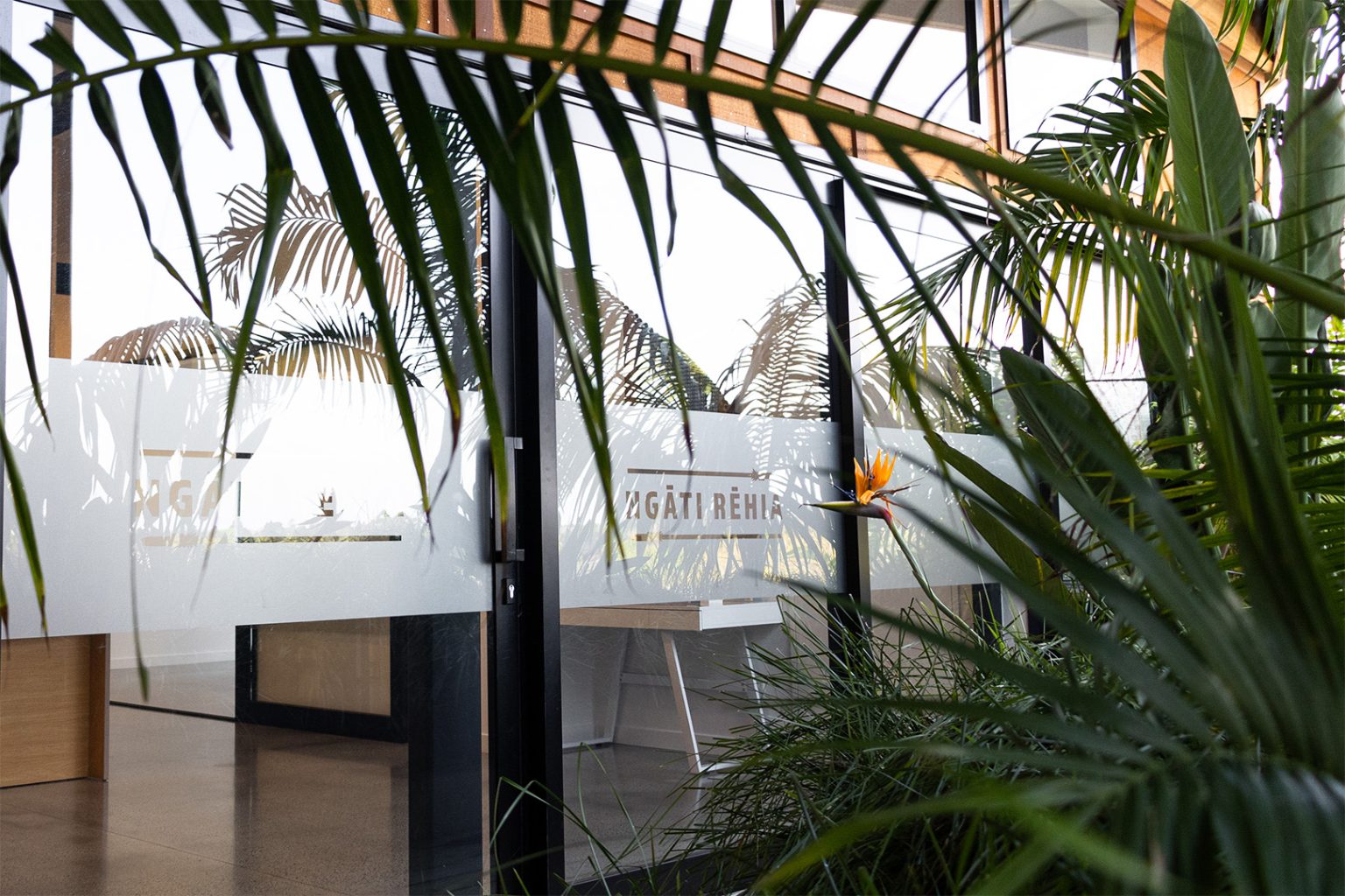 Procraft Northland residential & commercial construction